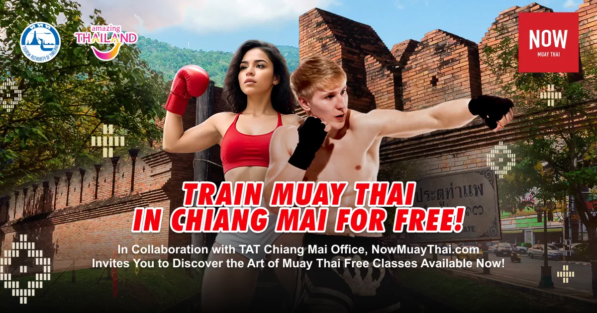 Train Muay Thai in chiang mai for free! - NOW Muay Thai