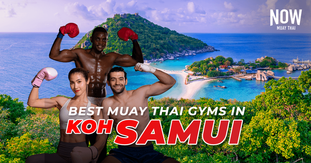 The Best Muay Thai gyms in Koh Samui - NOW Muay Thai